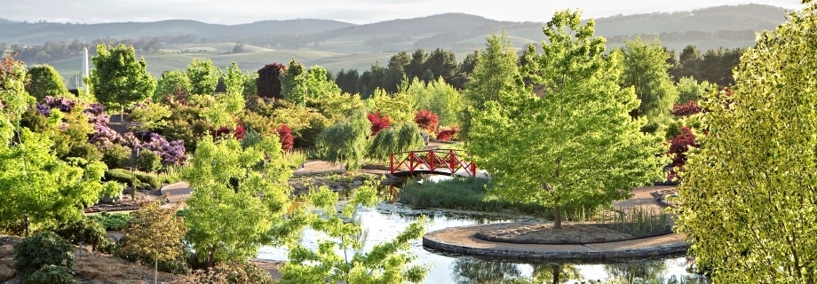 The Gardens are in Bloom this Spring | Mountain Whispers